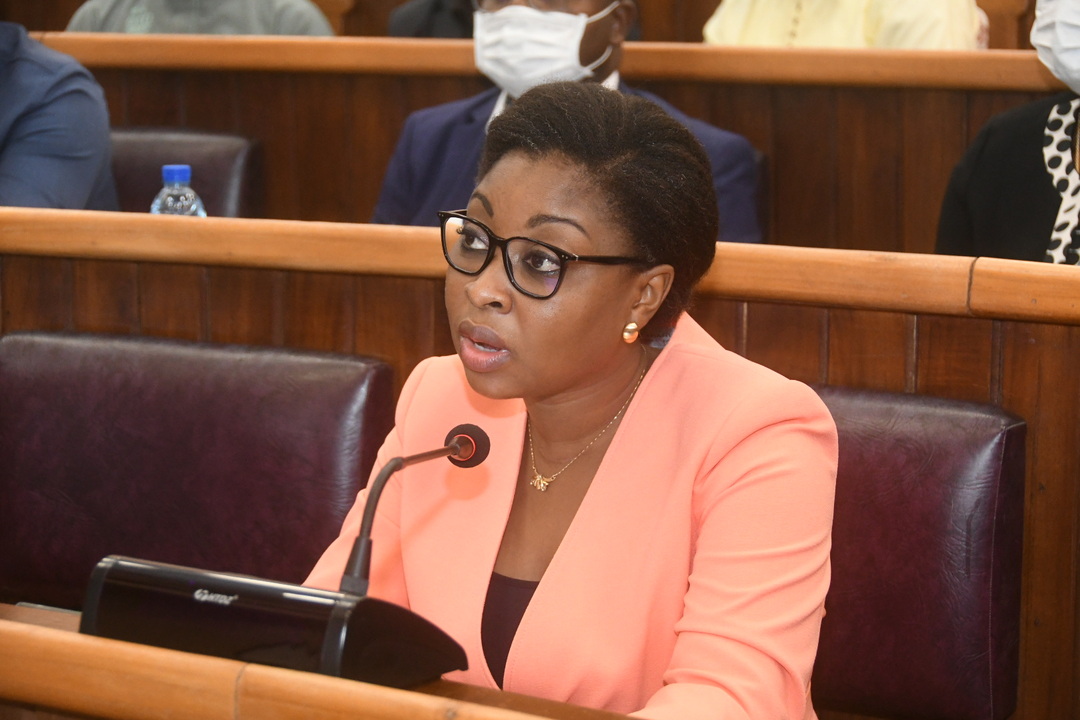 Loi de finances, gestion 2022 : Aurelie ADAM SOULE ZOUMAROU présente un ...